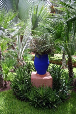 Azul Majorelle – Jardines Que Me Gustan