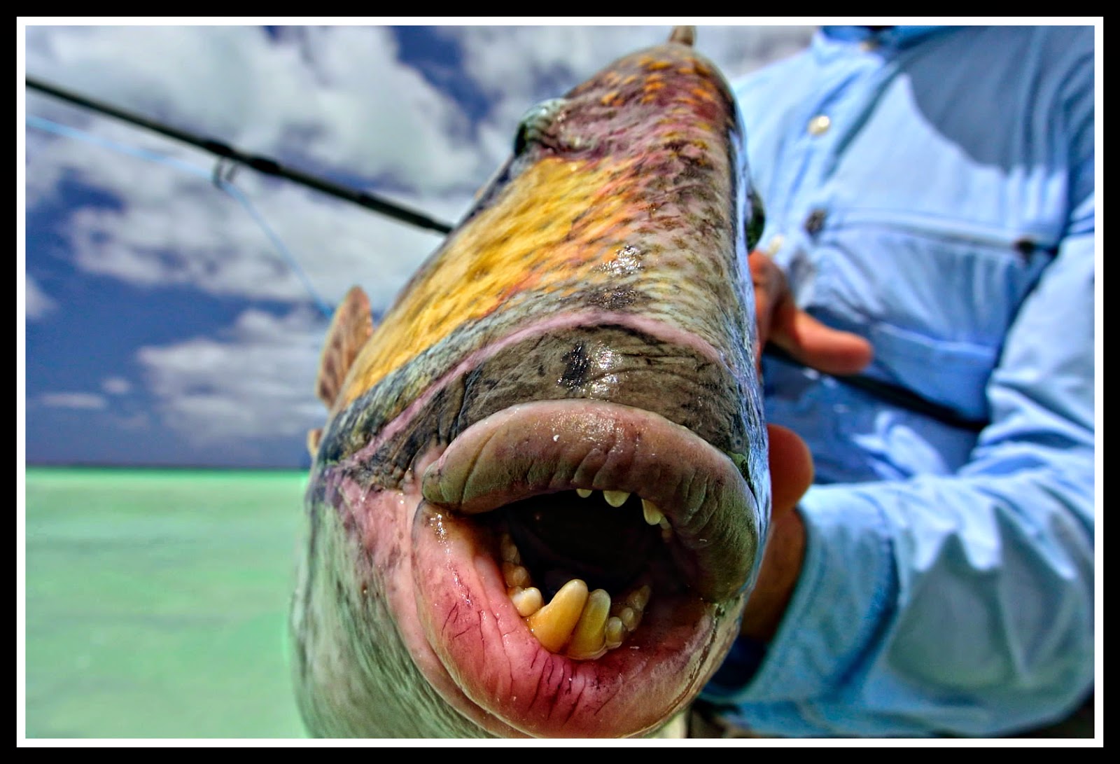 Gorge Fly Shop Blog: Christmas Island, Republic of Kiribati