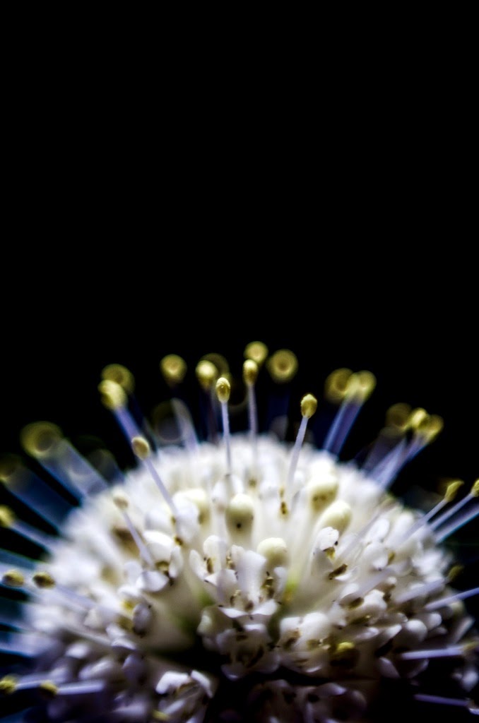 blog.ConnieImboden.com