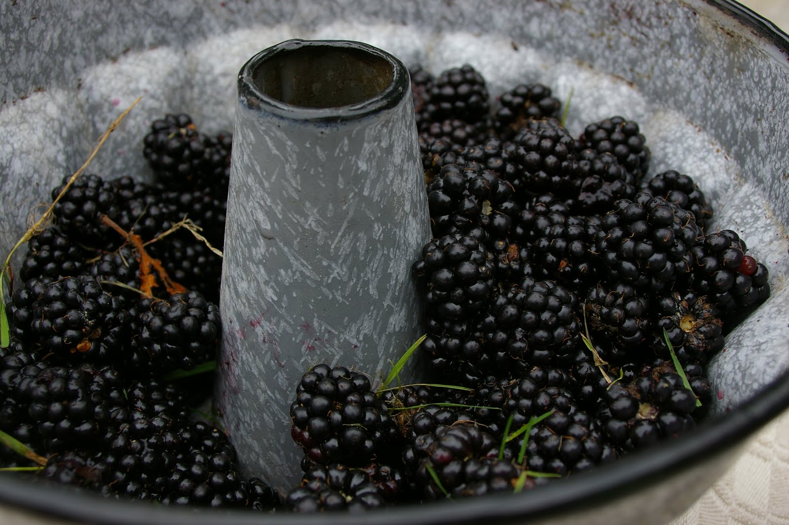 Makkie: Herfstvondsten!