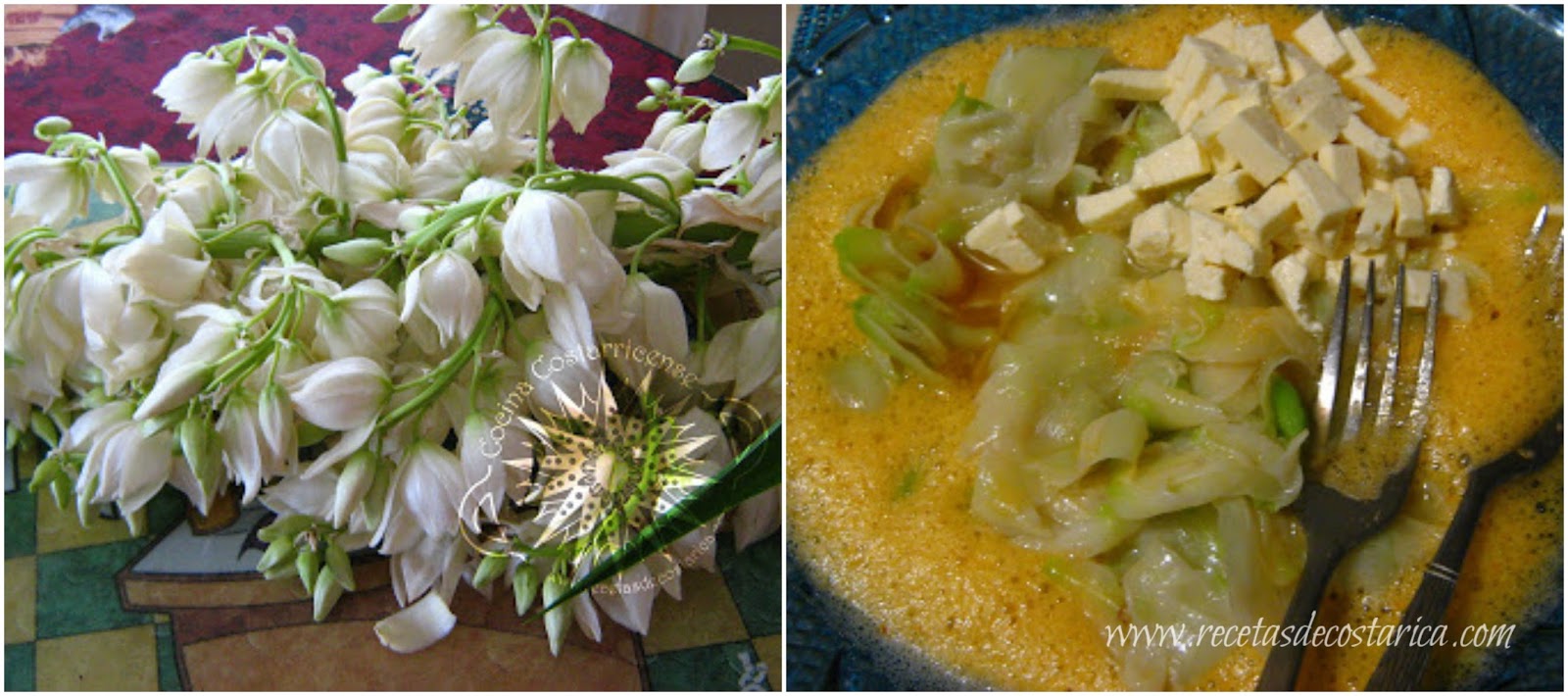 Cocina Costarricense: torta flor de Itabo con huevo