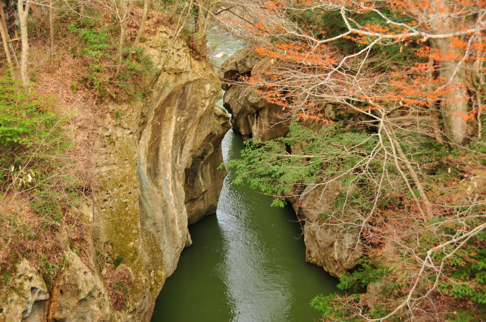 Capturing Solitude: The Japan I Dreamed About...... • We Blog The World