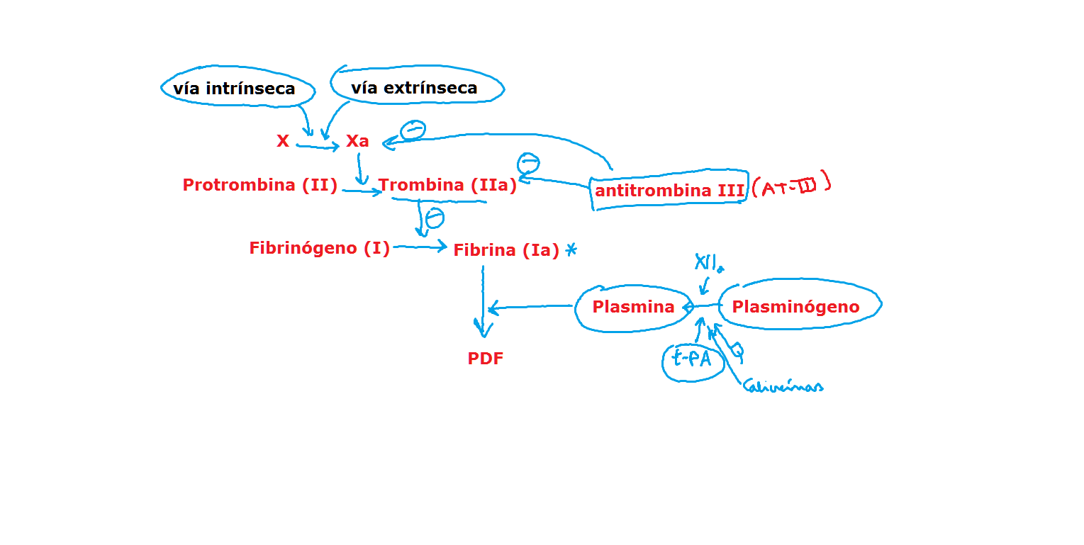 Fibrinolisis y anticoagulación fisiológica | Dr. Alberto Sanagustín