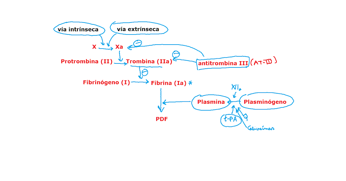 Fibrinolisis y anticoagulación fisiológica | Dr. Alberto Sanagustín