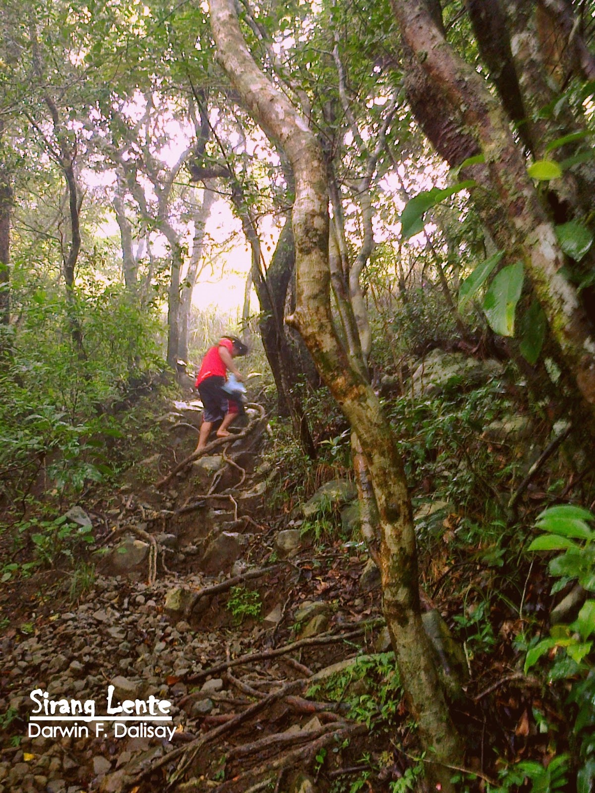 SIRANG LENTE: Hiking Mount Tarak (Bataan) with Couch Surfing