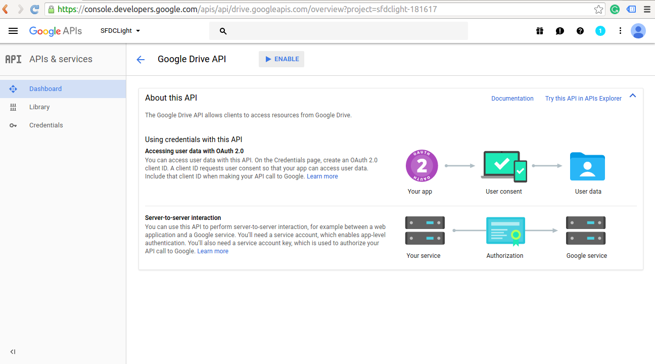 SFDC Blog: How to create Google project for API Services