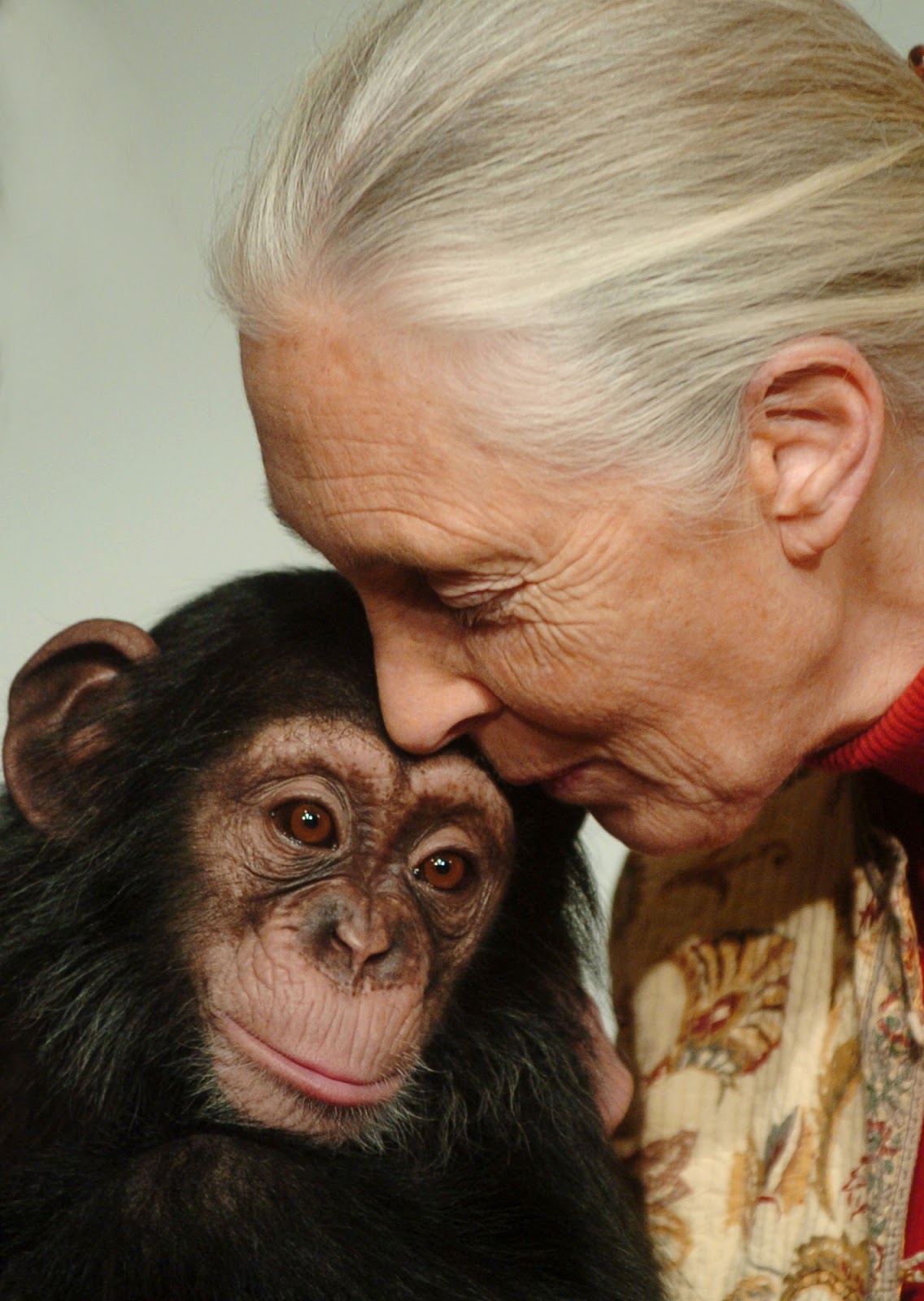 SOÑANDO UN MUNDO UBUNTU: JANE GOODALL, LA AMIGA DE LOS MONOS