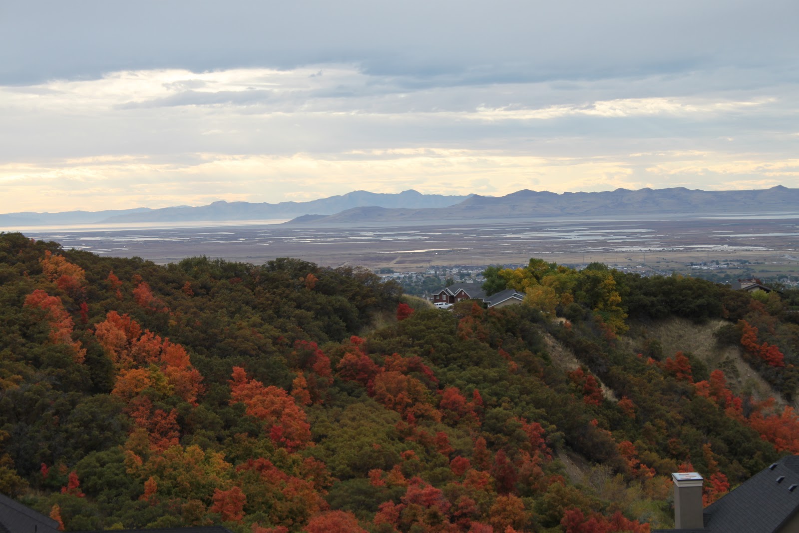A Bountiful Kitchen: Black Bottom Banana Cream Pie
