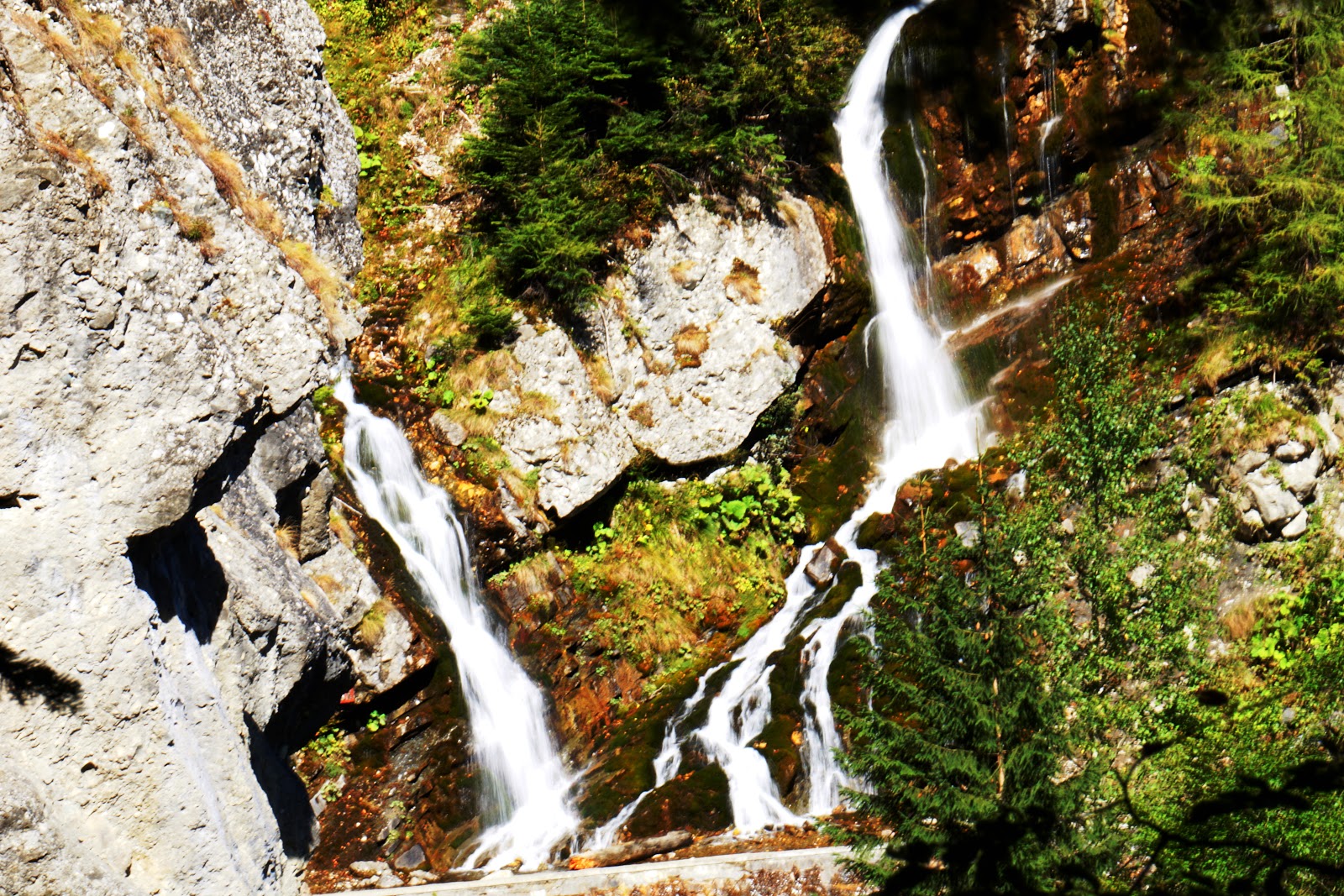 Lazarow World-Hike-About: 37.27 Romania: Bucegi National Park, Busteni ...
