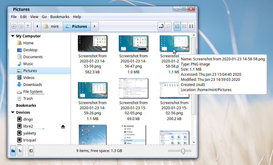 Linux Mint with Windows 7 Theme