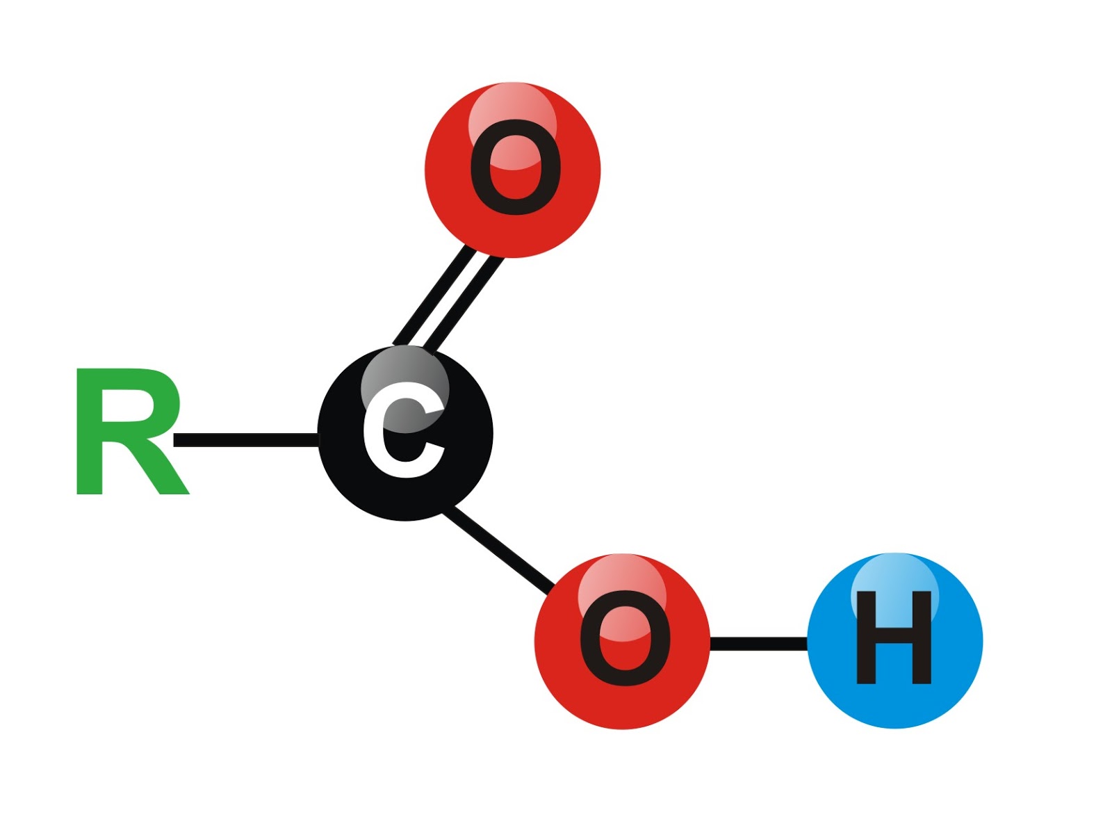 Bentuk Struktur 3D Asam Karboksilat | BLOG SAINS