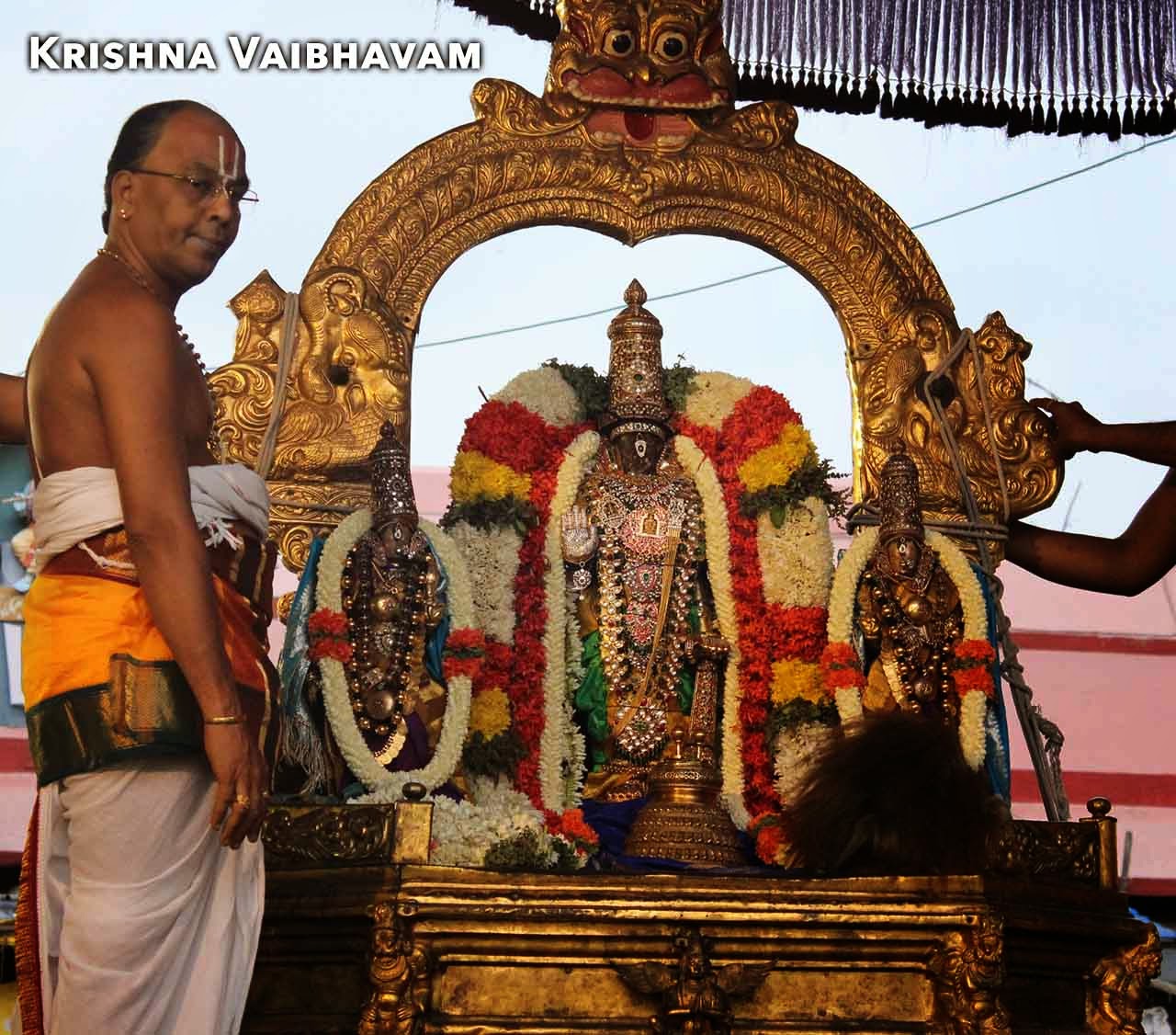 Krishna Vaibhavam: Part 01 of 2014 Parthasarathy Brahmotsavam Pictures ...
