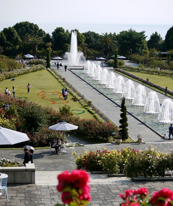 Stardust Talk : Autumn-flowering roses at Suma Rikyu Park, Kobe