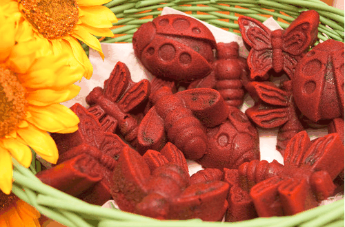 UNIQUE UNUSUAL OR INTERESTING: BACKYARD BUGS CAKE MOLD