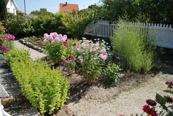 Telemarks og Grenlands historie: På oppdagingsferd langs ...
