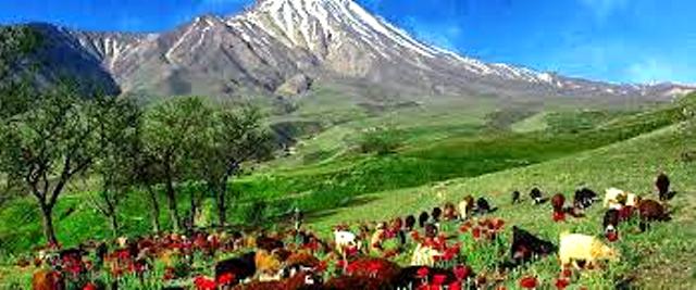 Kurdistan Agriculture: Agriculture In Kurdistan