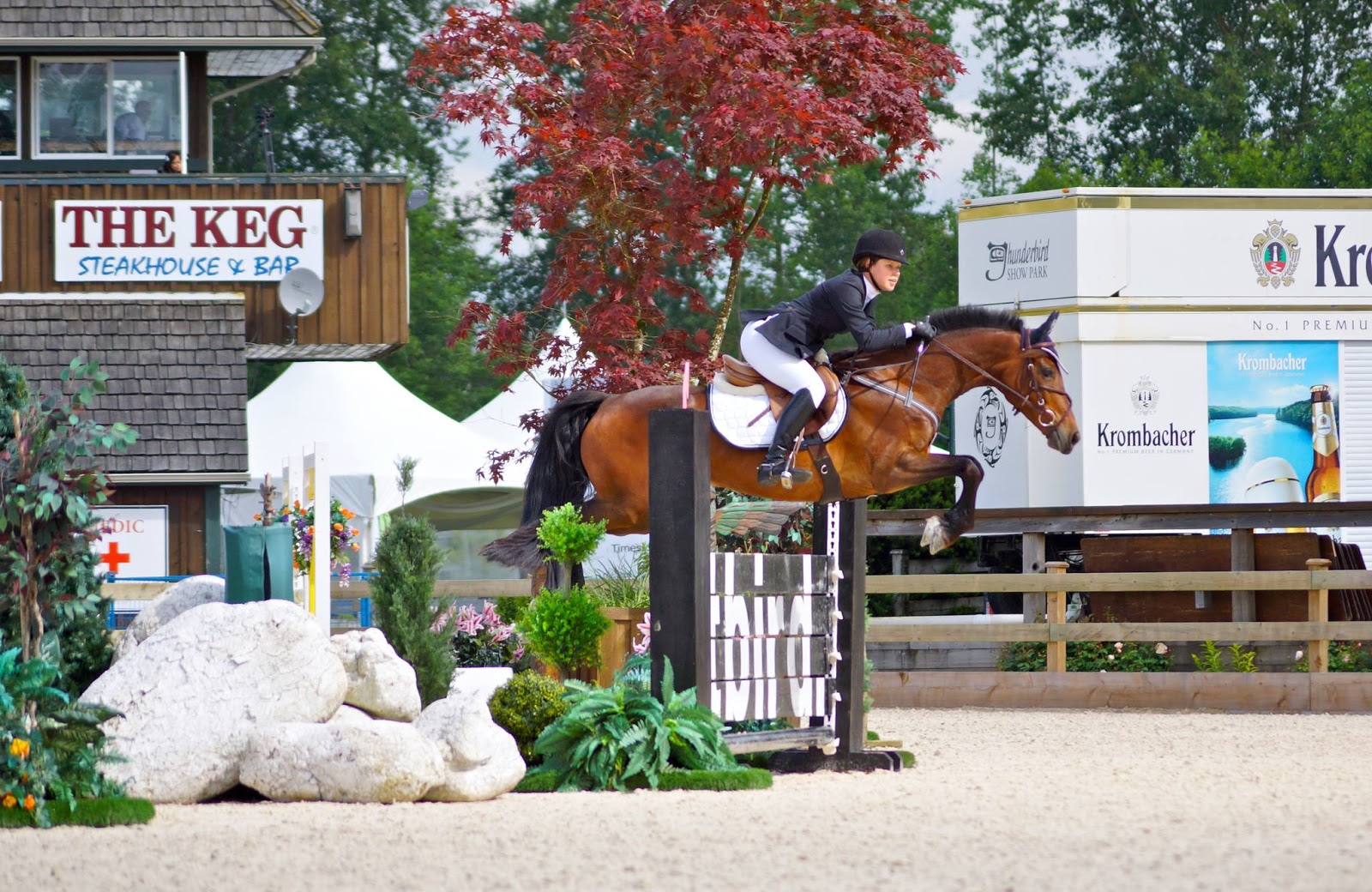 Equi-Life News: EQUI-LIFE'S EMMA BOSMA AND DIVINE INTERVENTION TO ...