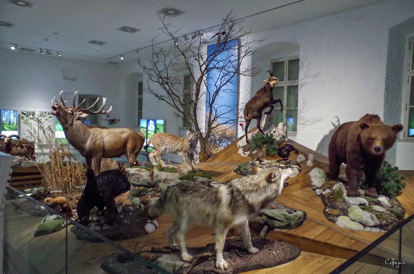 Kirándulásaim hegyen,völgyön.....: Hatvan, Grassalkovich-kastély