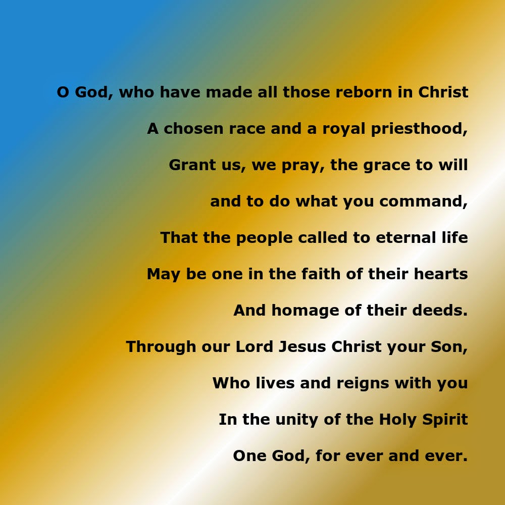 Daily Homilies: Saturday of the Fifth Week of Lent