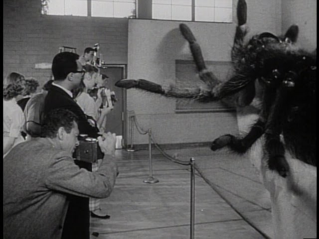 Cool Ass Cinema: Earth vs. the Spider (1958) review