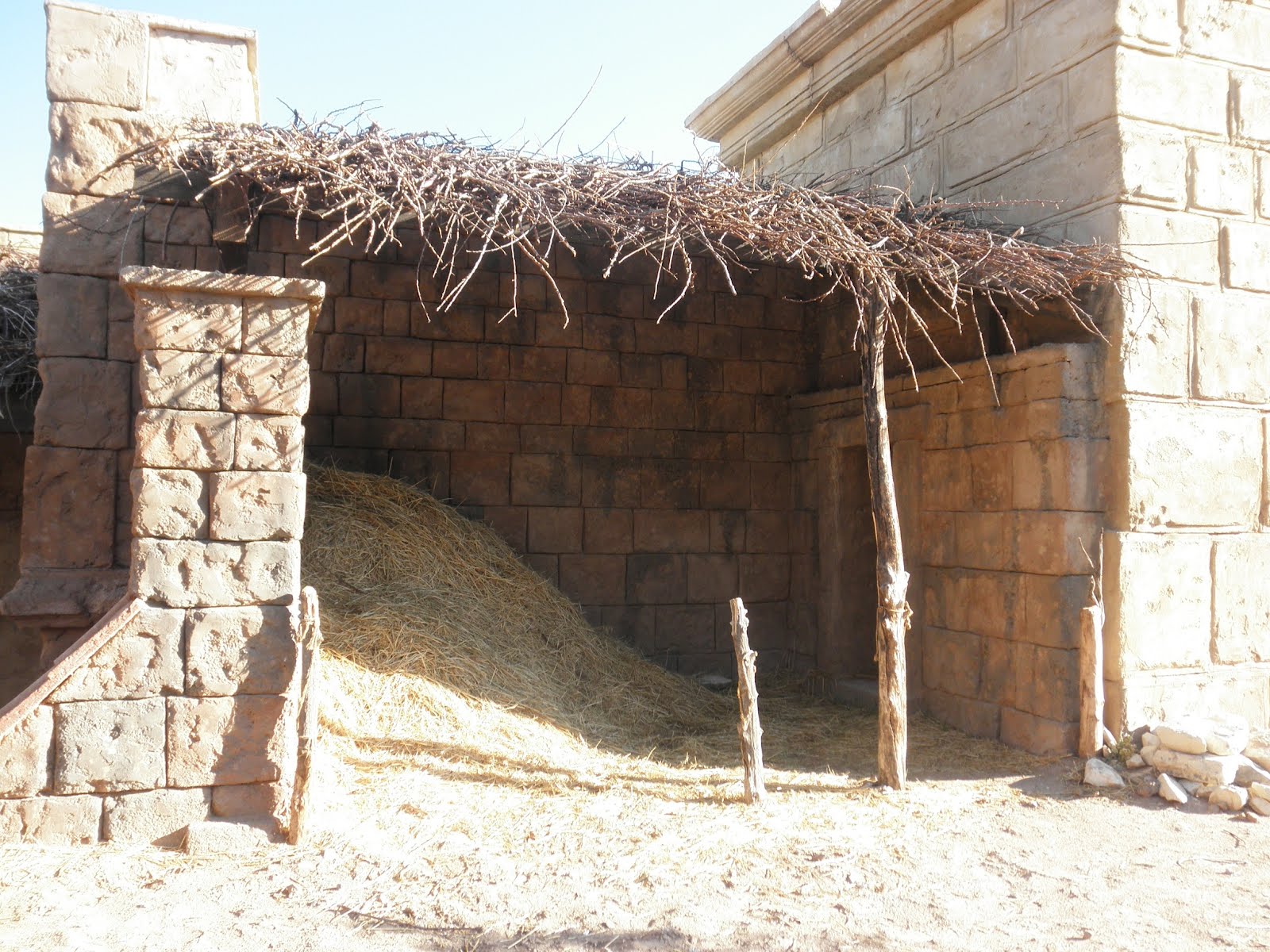 Happy Acres: The Holy City