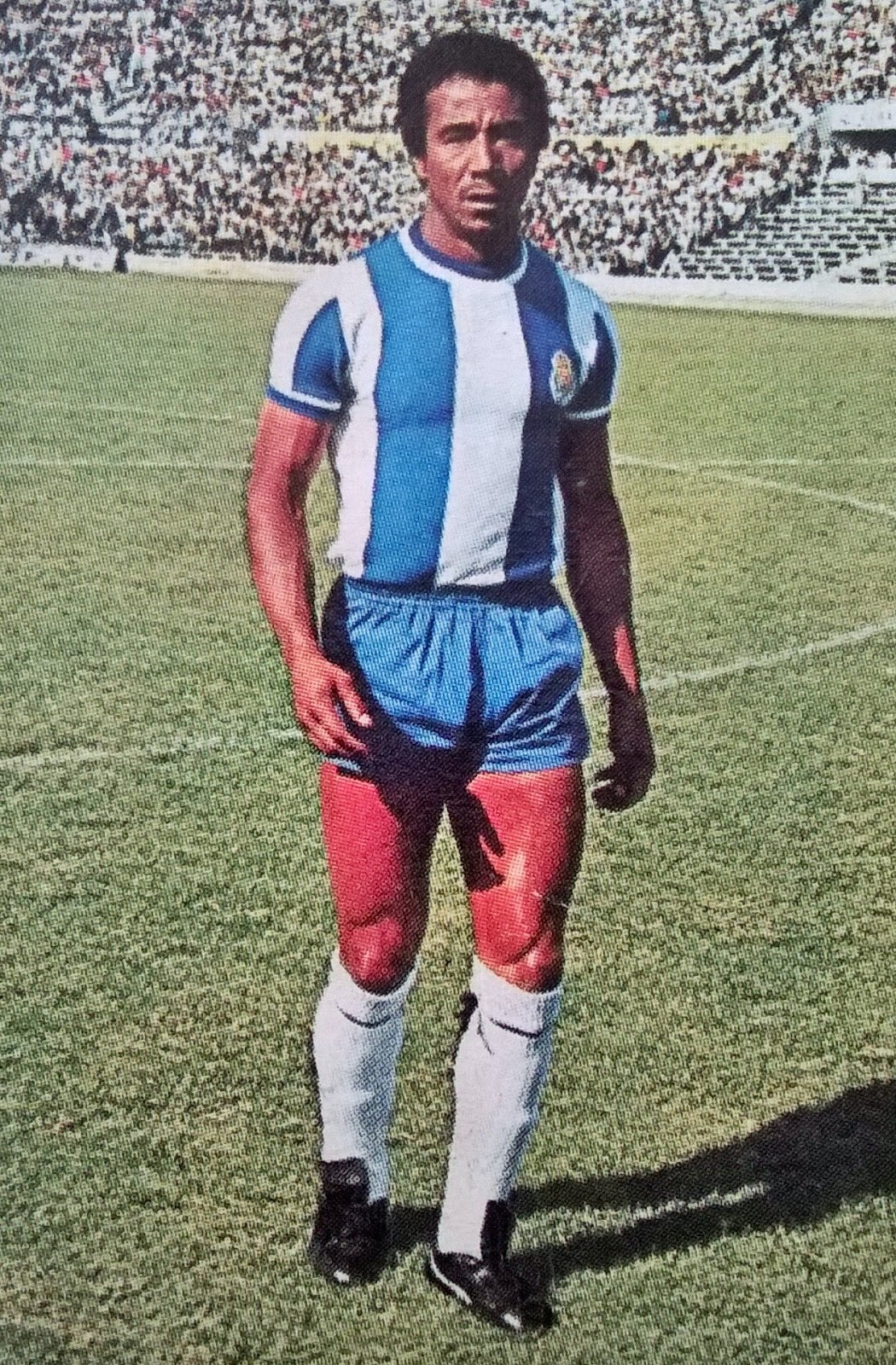 Memória Azul: Flávio