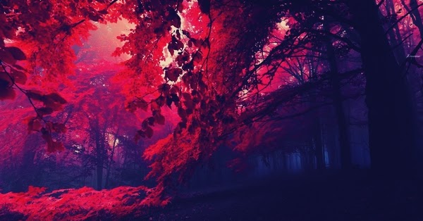 Top 100 Beautiful Status for Whatsapp in English, Beautiful Status 2020