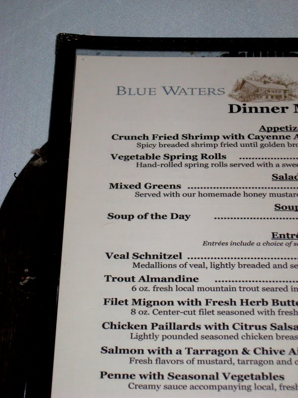 House at Forest Manor: The Blue Waters Mountain Lodge