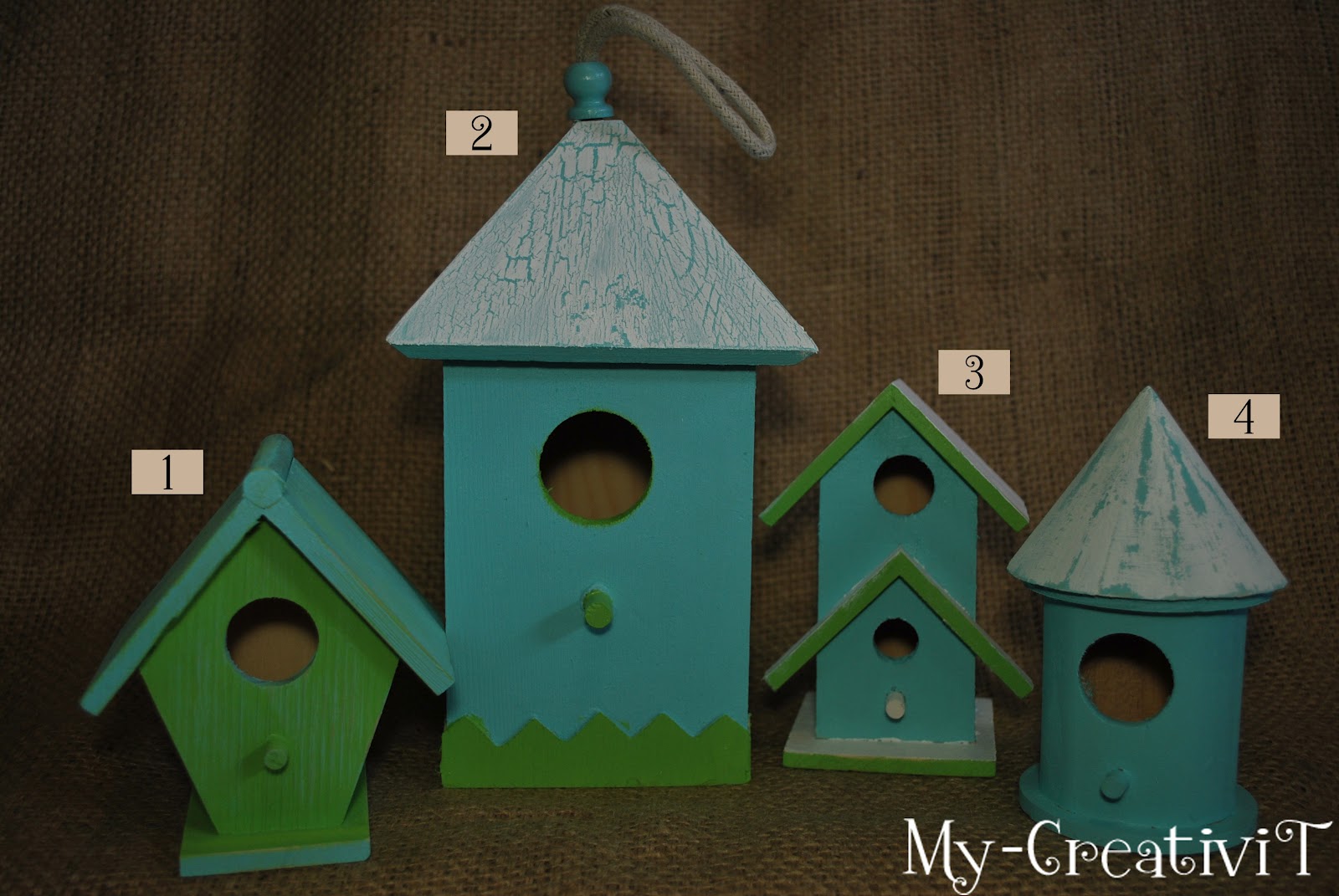 My-CreativiT: Birdhouses & Crepe Paper Flowers with Flower Soft