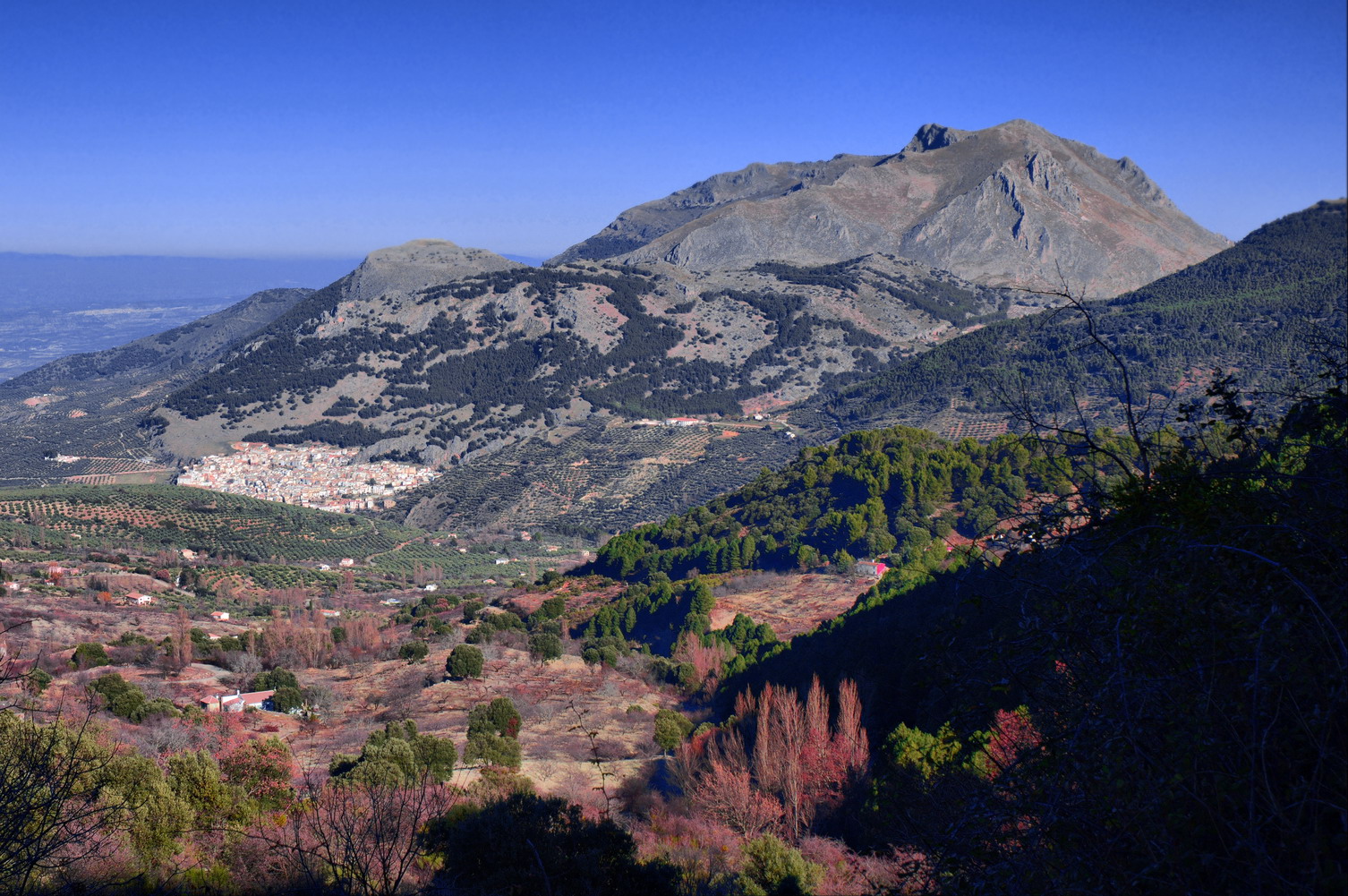 MIS FOTOGRAFÍAS: TORRES (JAÉN)