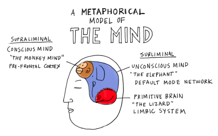 How is a Mental Model formed?