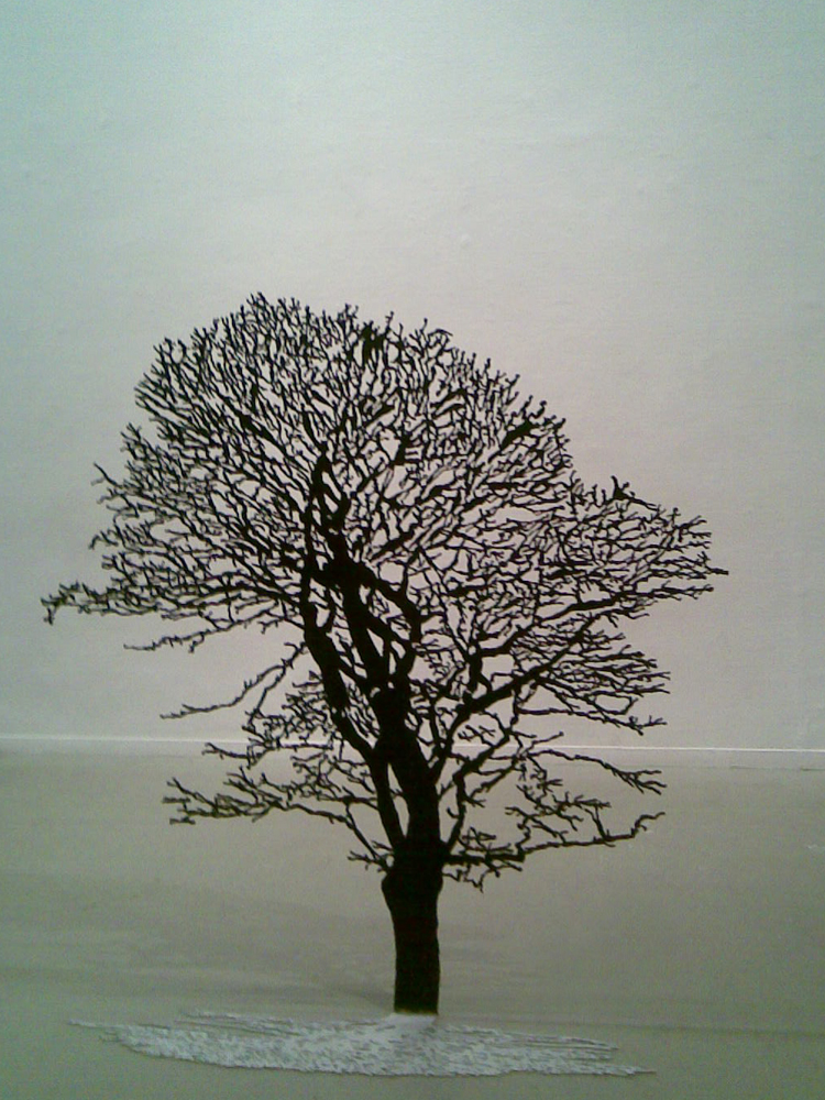 julie avisar: zadok ben-david