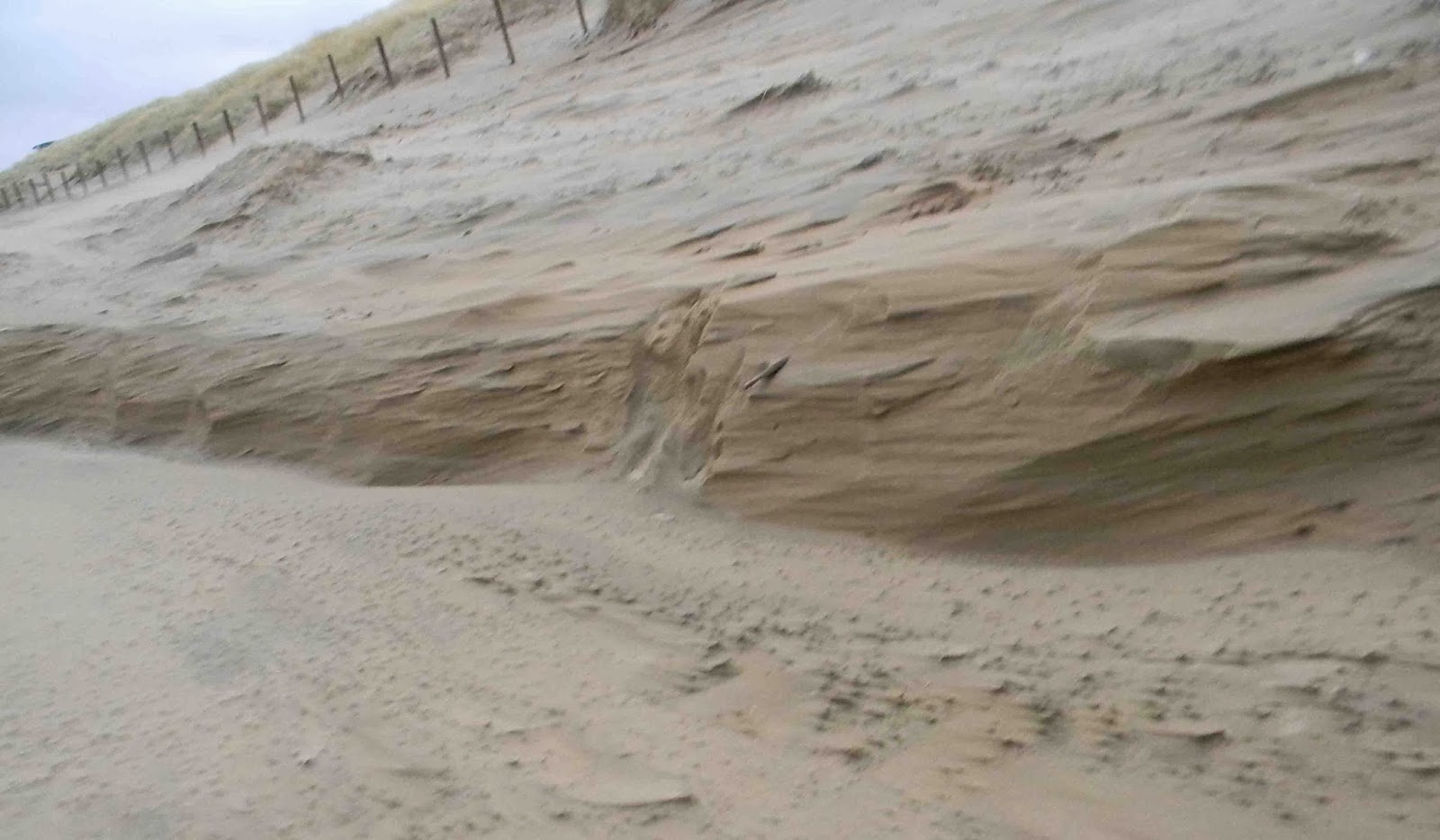 Analyseren/Natuurlocaties: Duinafslag en winderosie in Zandvoort