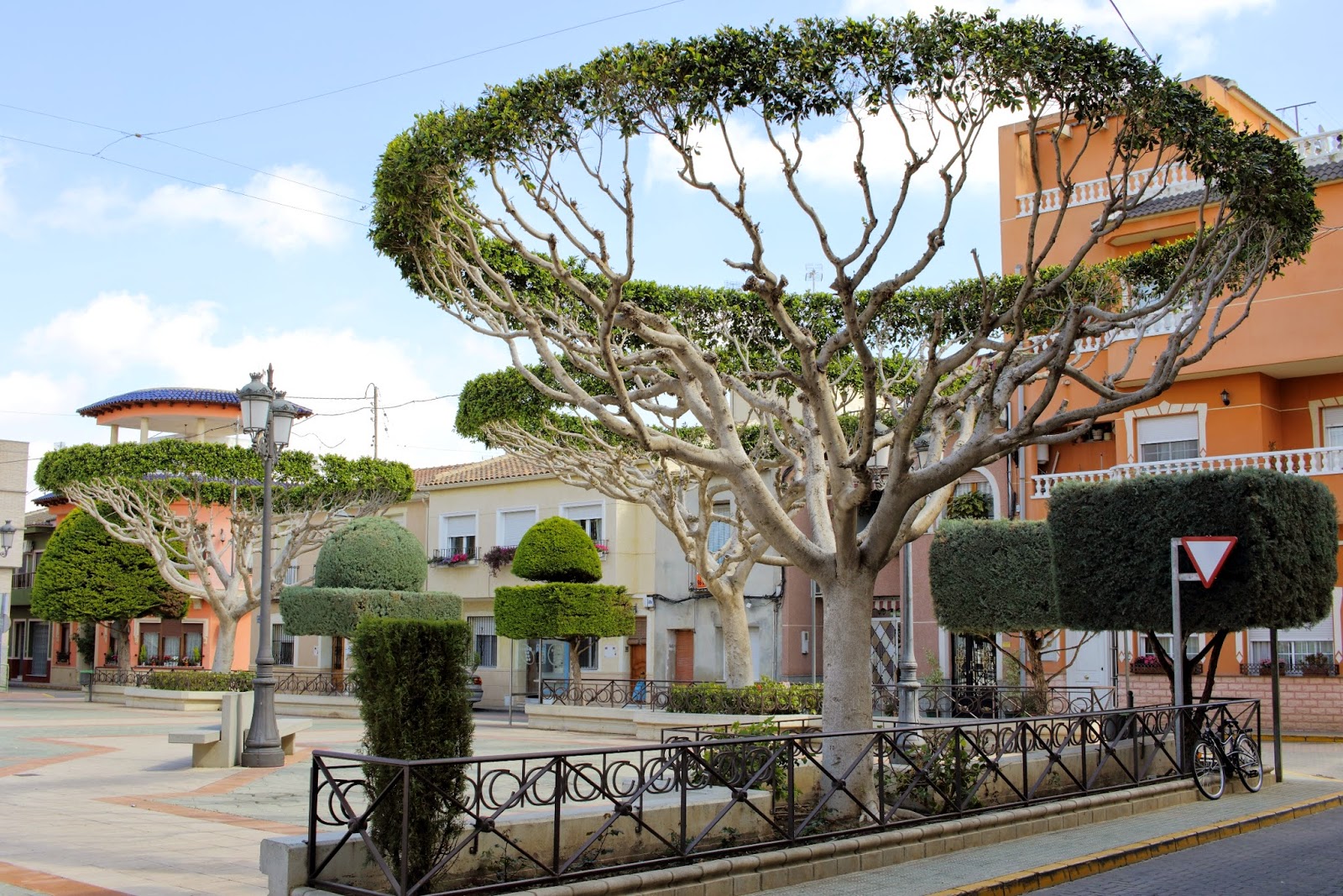 Concurso de Fotografía Matemática: FOTOGRAFÍA Nº 4: EL JARDÍN GEOMÉTRICO