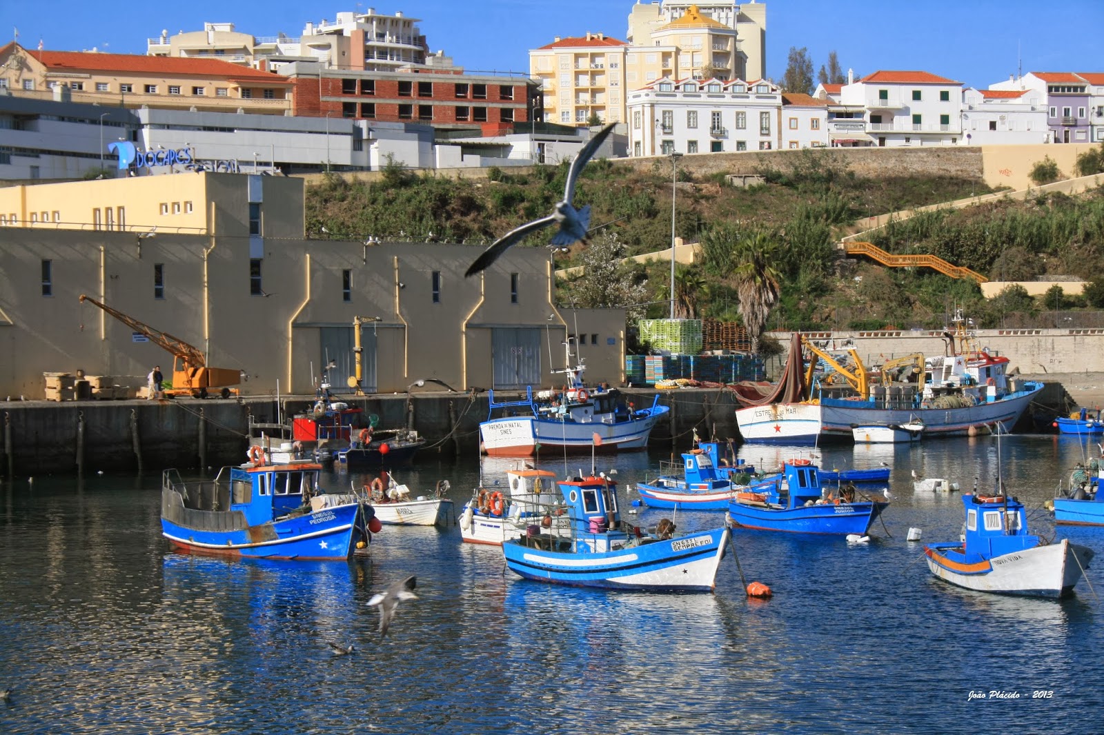 Cabo de Sines: Barcos de pesca - Sines