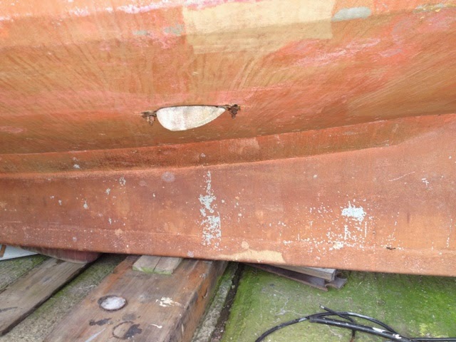 Bill's Log: ‘Sparky’: A Nick Skeates Wylo