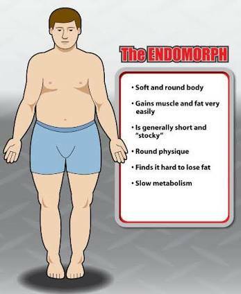 البرنامج التدريبي و الغذائي للأندومورف Endomorph - عالم اللياقة ...