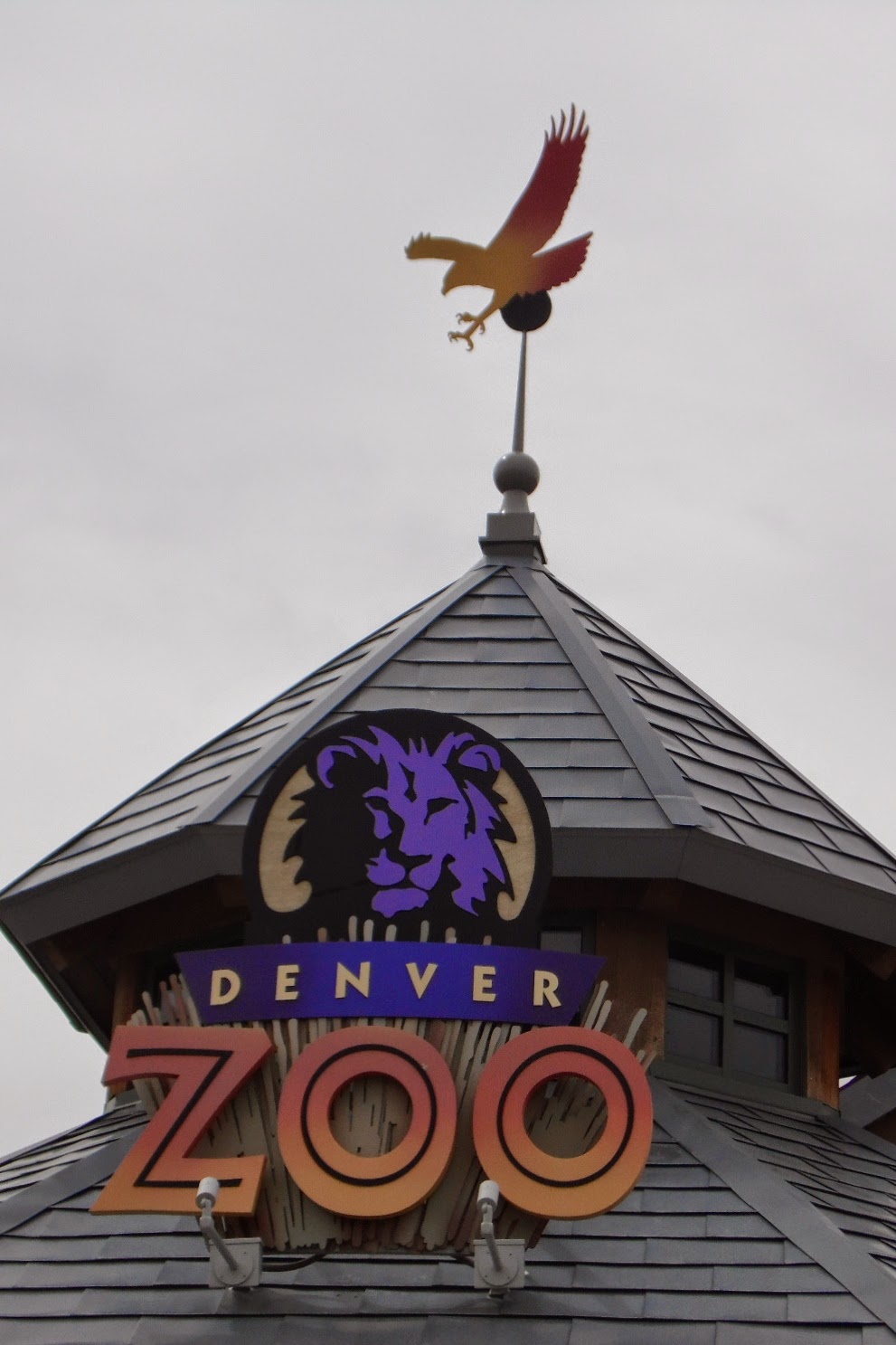 Into Lindsey's Life: Denver Zoo (C.I.C.)