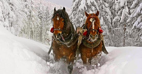 Bersuci dengan Air Salju - ISLAM SAMPAI MATI