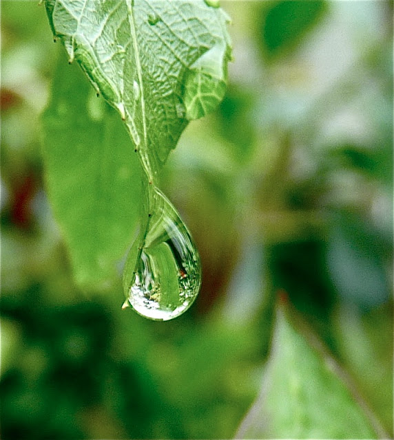Pieces of Contentment: Raindrops and Treasures