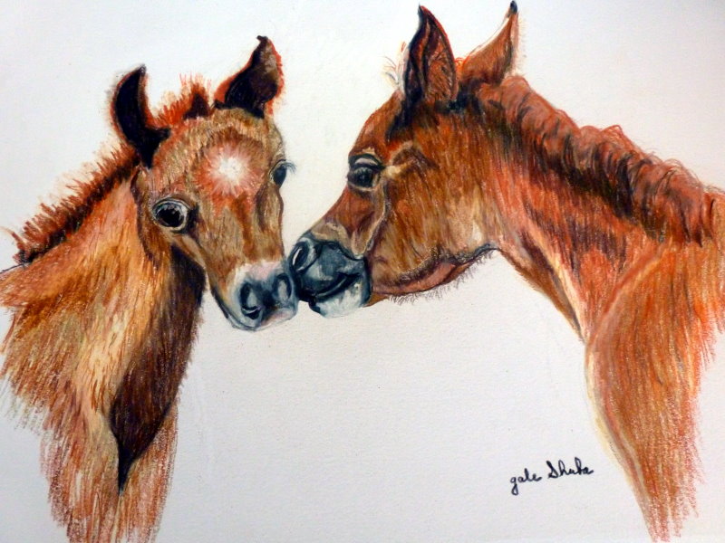 Onondaga Art Guild: Featured Artist: Gale Shuba