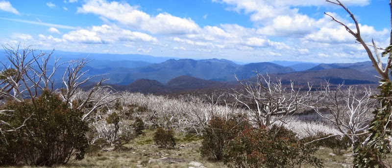 Dzung Nguyen's Blog: Mt Cobbler Walk