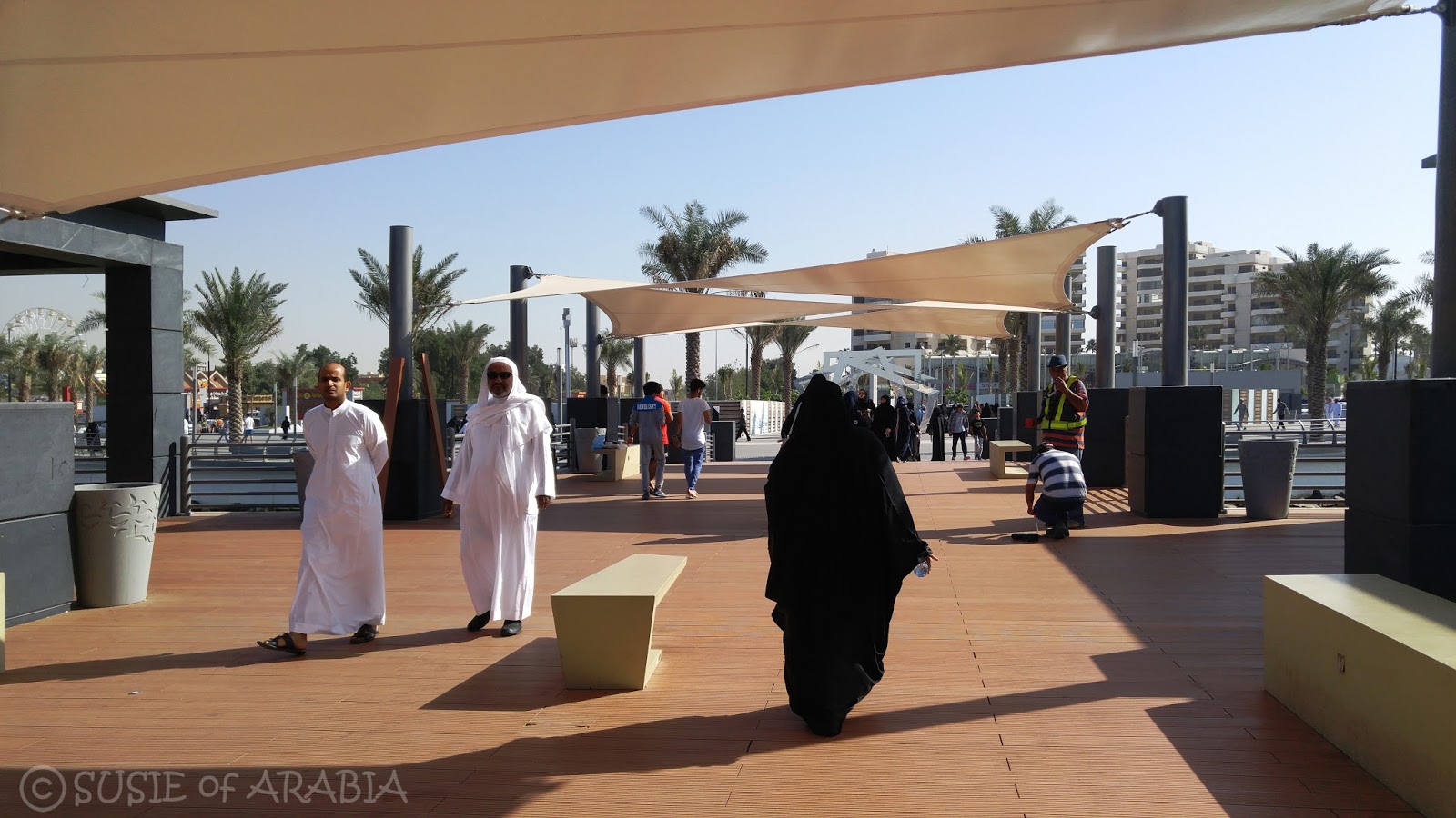 SUSIE of ARABIA: The New Jeddah Waterfront Project