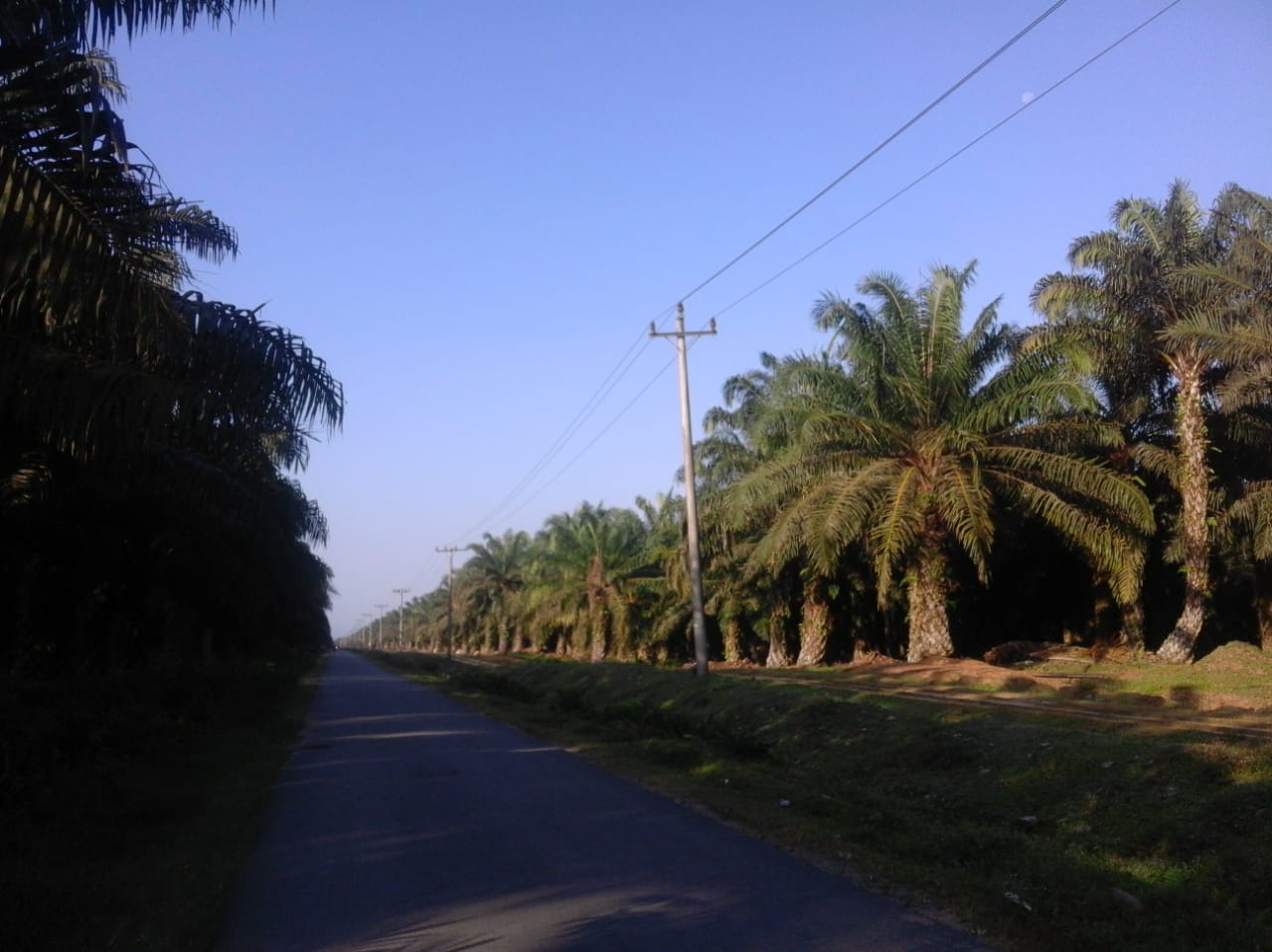 Pesona Kawah Putih Tinggi Raja Sumatra Utara