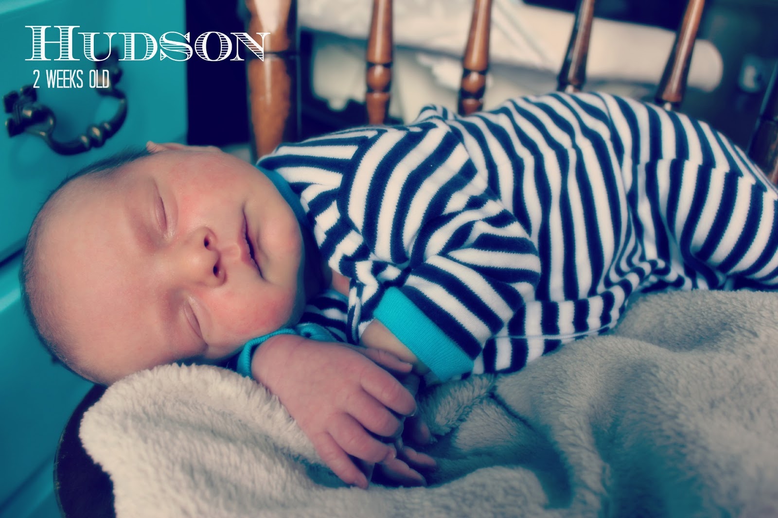 Lu Bird Baby: Obsessed