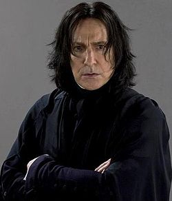 First grade nine semester was... Fantastic!: Professor Snapes potions ...