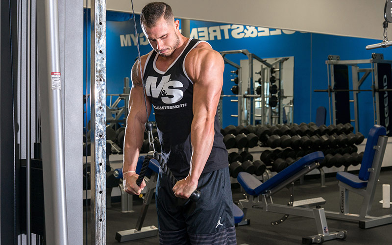 Fitnex Pro: Best workout for tricep growth