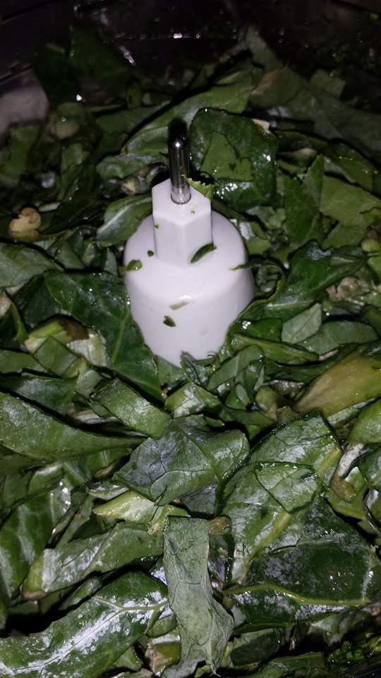 NoVACAIN Kennels: Vegetables Fruits Herbs........