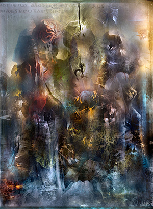 Agulha Revista de Cultura: JUDITH ANN MORIARTY | Cinco perguntas para J ...