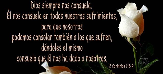 Tarjetas de Pésame con Flores 3 - IMÁGENES PARA WHATSAPP ® y Fotos para ...